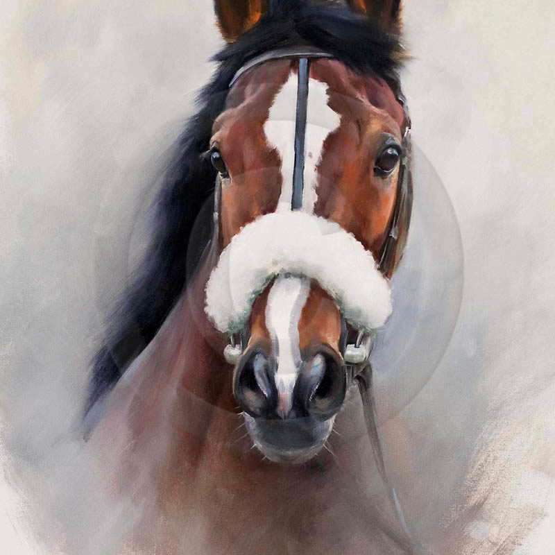 Horse Racing and equine art posters prints and paintings of Kauto Star