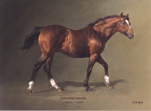 "Northern Dancer" - The Sporting Gallery